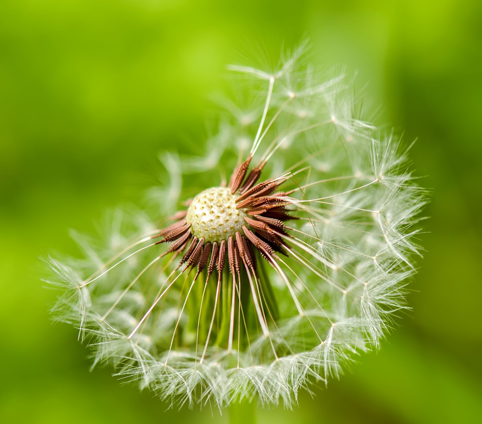 How Much Does a Spring Cleanup cost? - Paradise Property Services